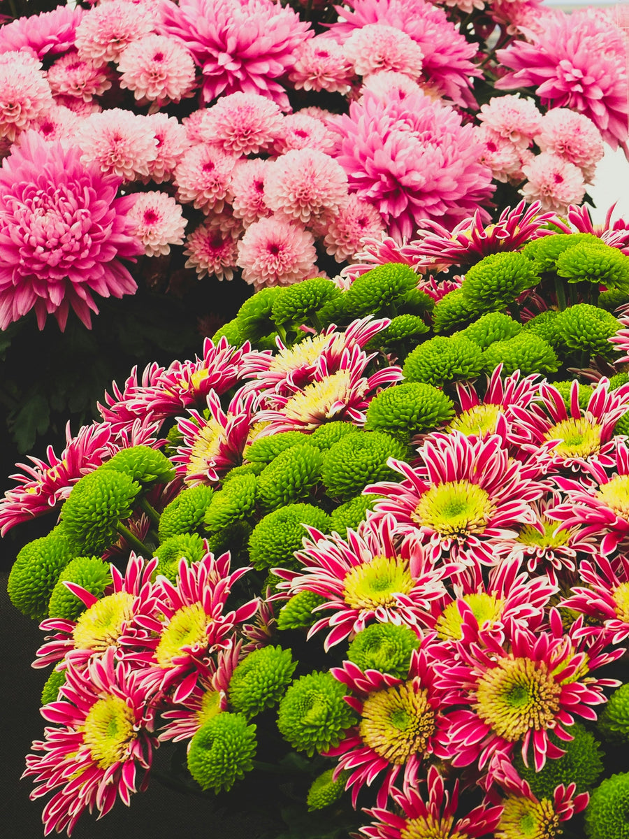 La Gaffe - What's on in London in May 2024 – La Gaffe Hotel & Restaurant